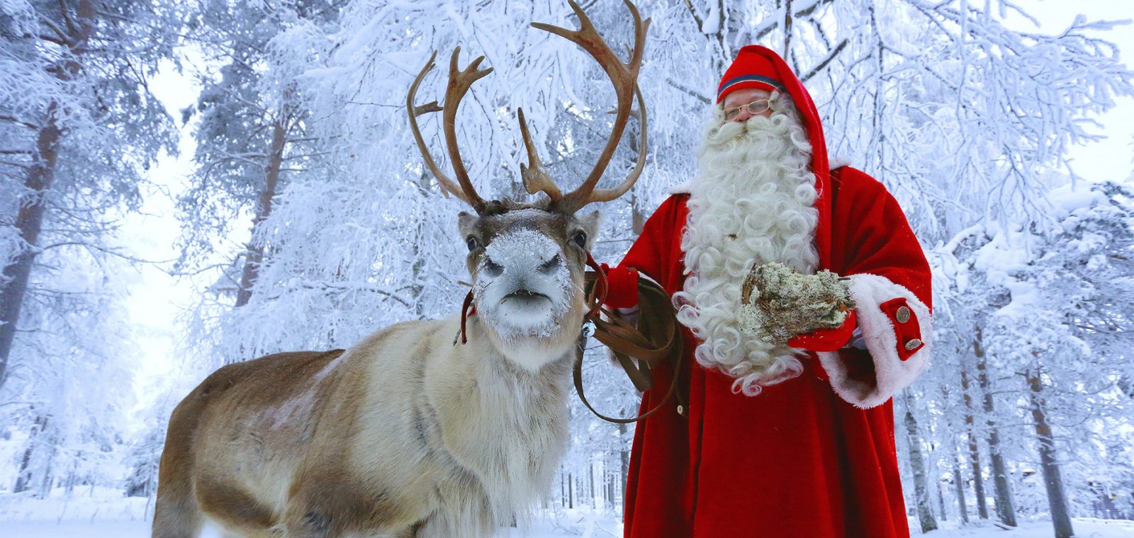Viaje a Laponia en Navidad - TravelFast